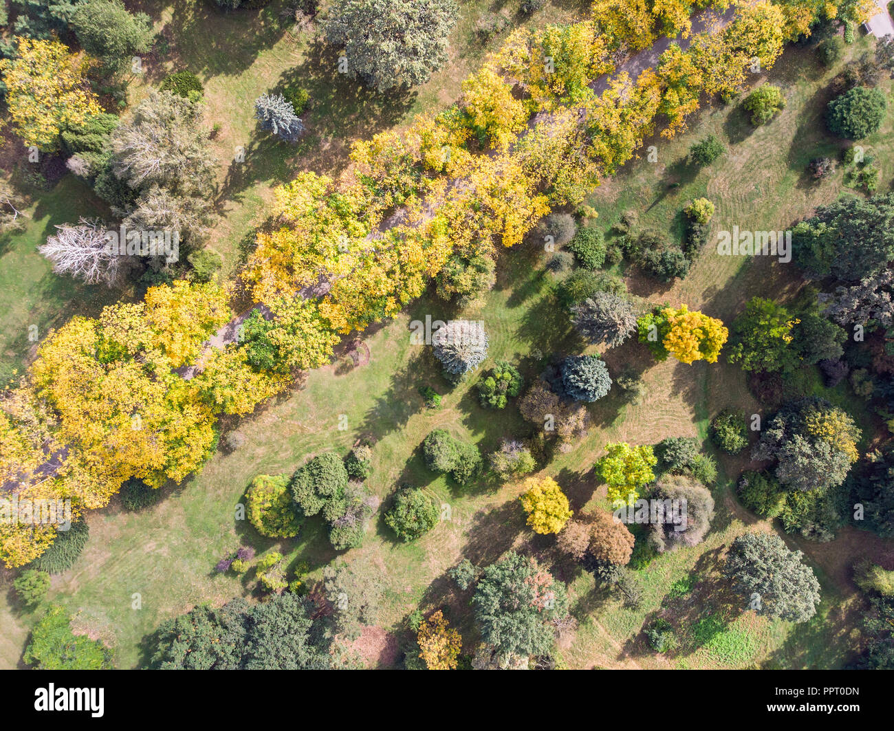 Aerial view of woodland paths hi-res stock photography and images - Alamy