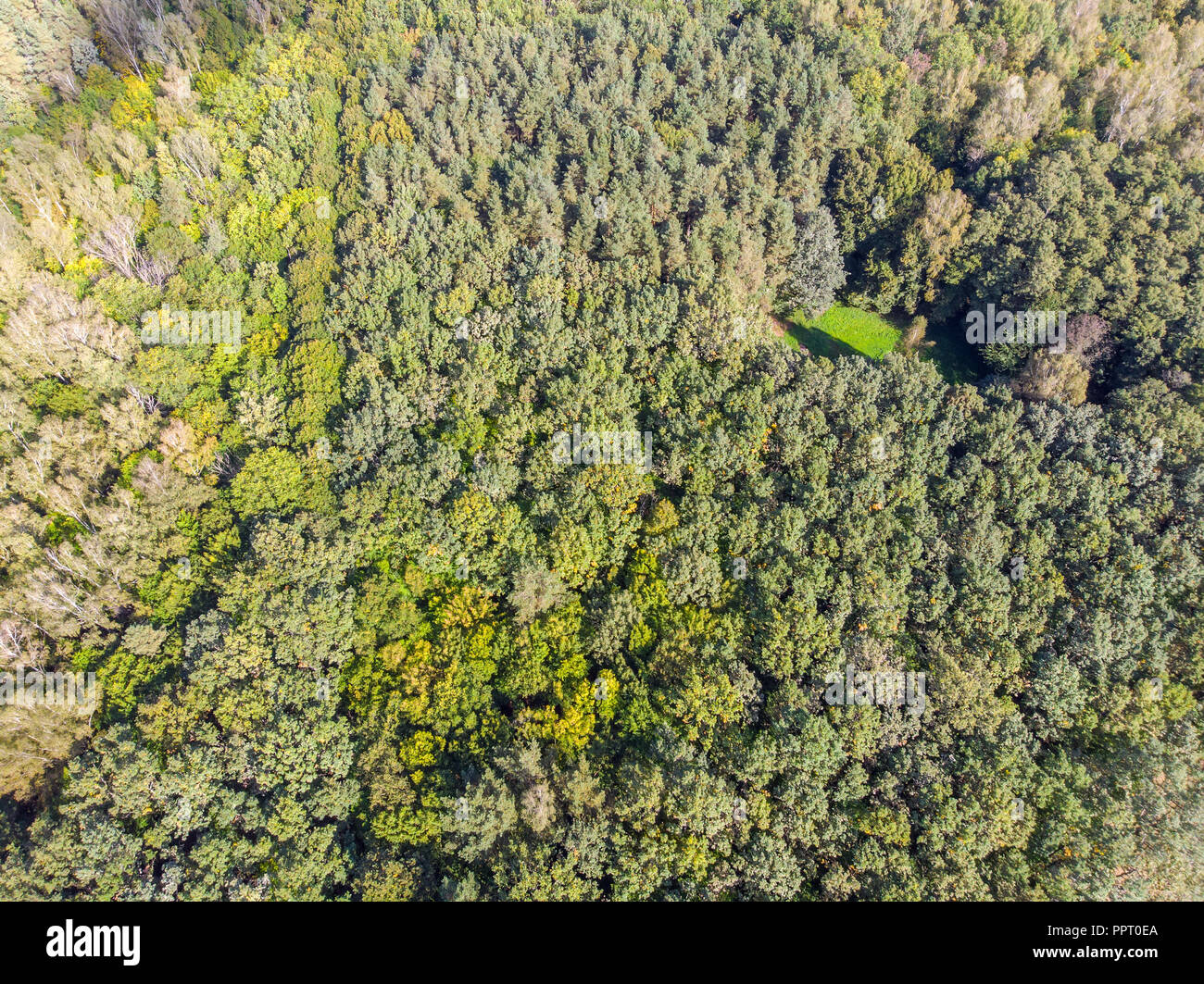 Green landscape with colorful trees hi-res stock photography and images ...