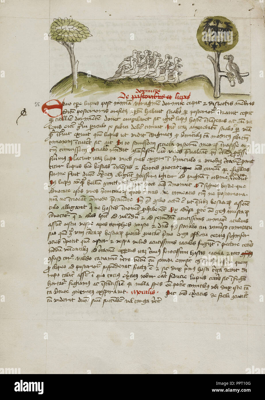 A Flock of Birds under a Tree including a Crowned Eagle with a Heraldic ...