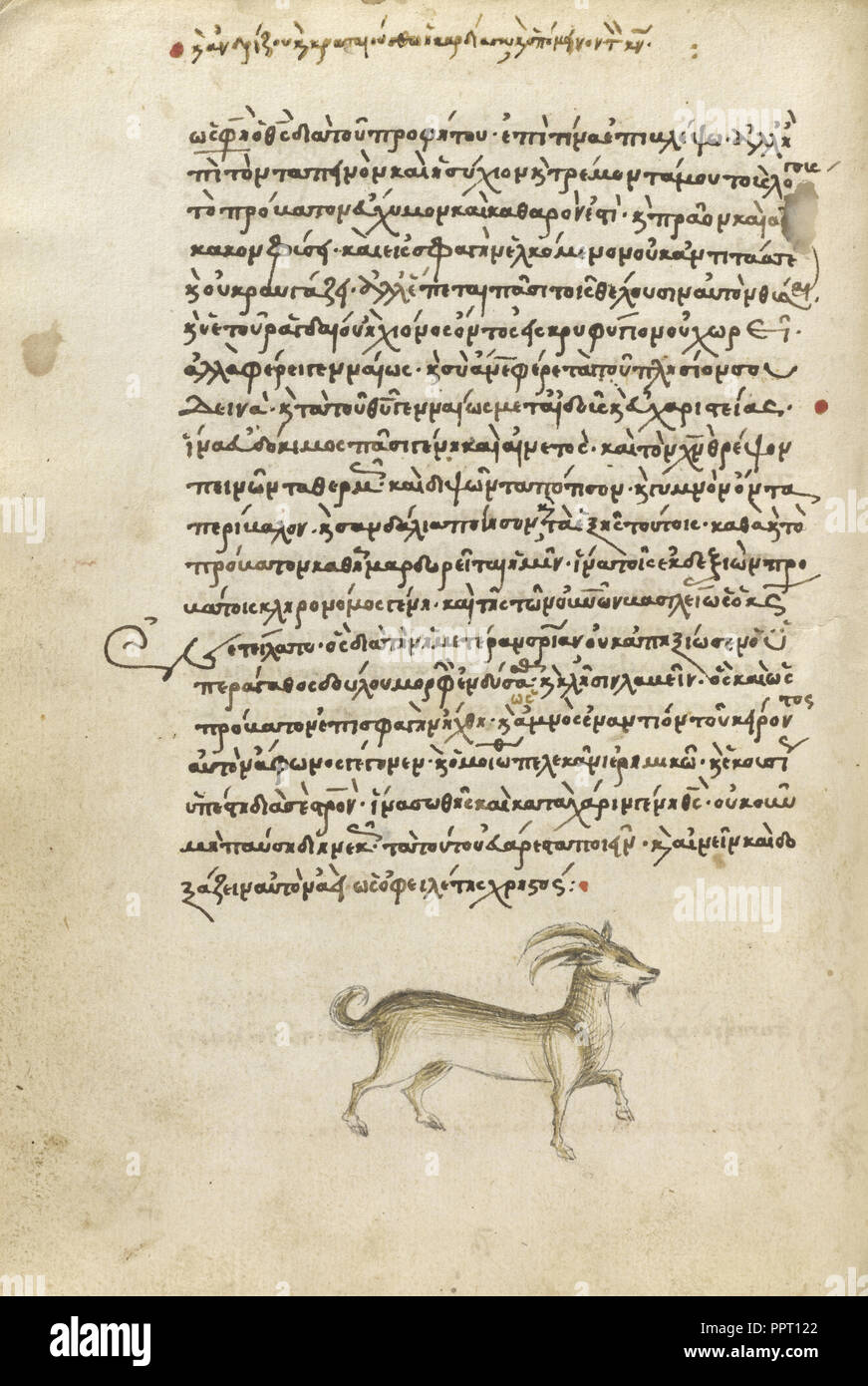A Goat; Crete, Greece; 1510 - 1520; Pen and red lead and iron gall inks ...