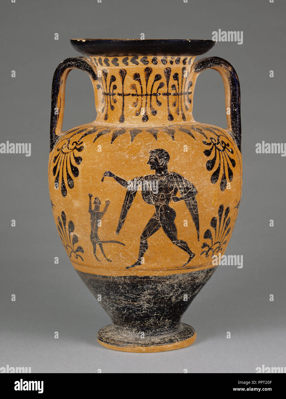 Etruscan Black-Figure Neck Amphora; Attributed to the Lotus Bud Group ...
