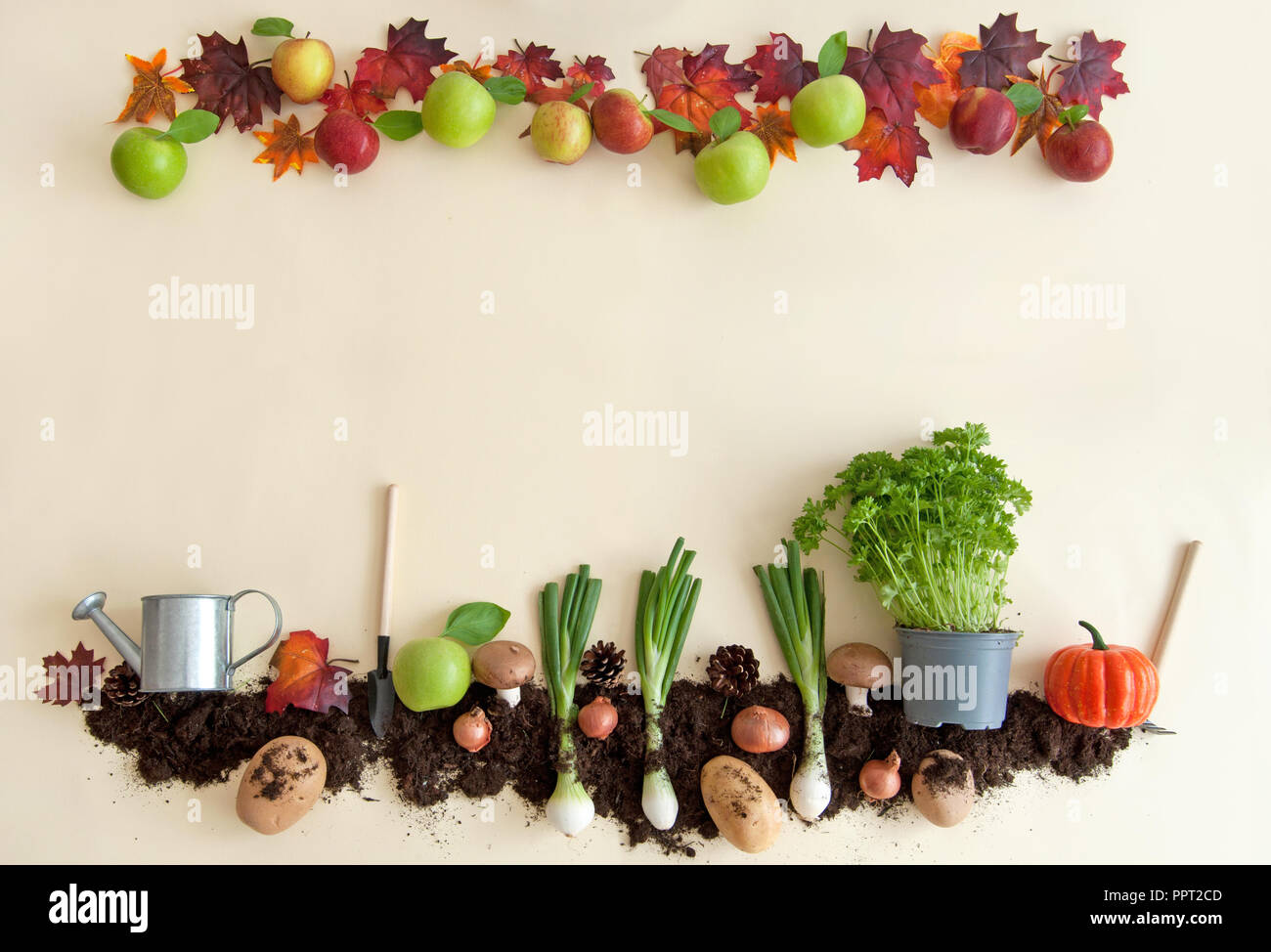 Autumn fruits growing in soil patch with apple orchard frame Stock ...