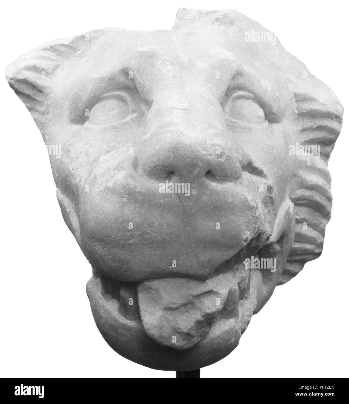 Lion x Black and White Stock Photos & Images - Alamy