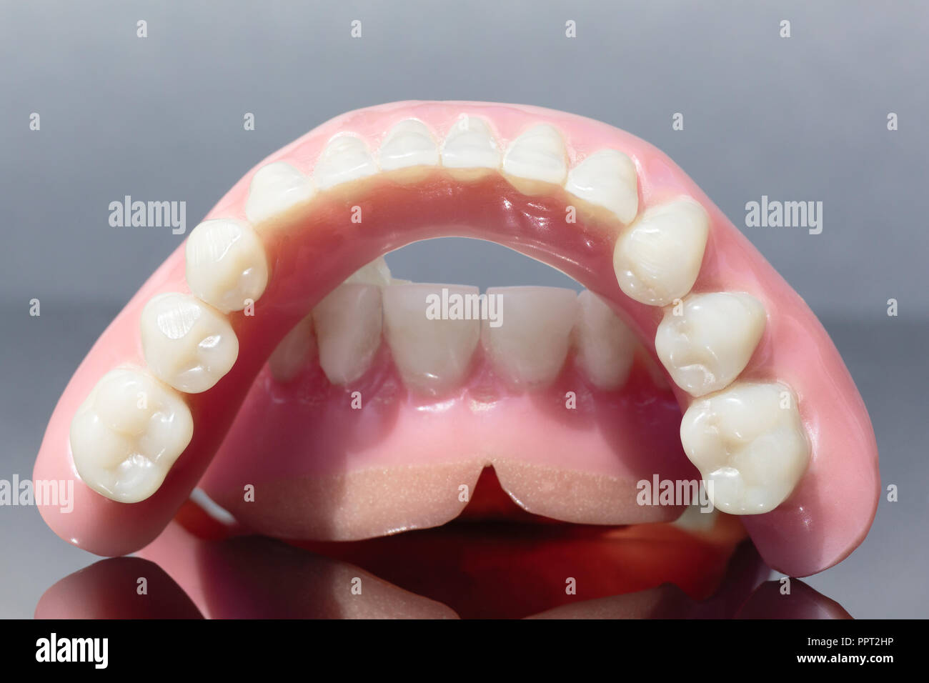 Medical denture jaw teeth isolated on gray background Stock Photo - Alamy