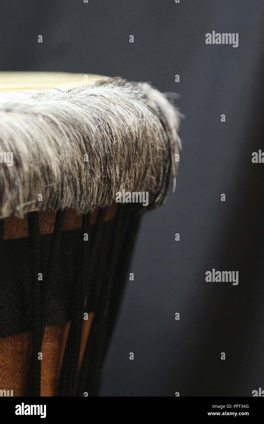 top half view of a wooden African djembe design with tuning ropes on ...