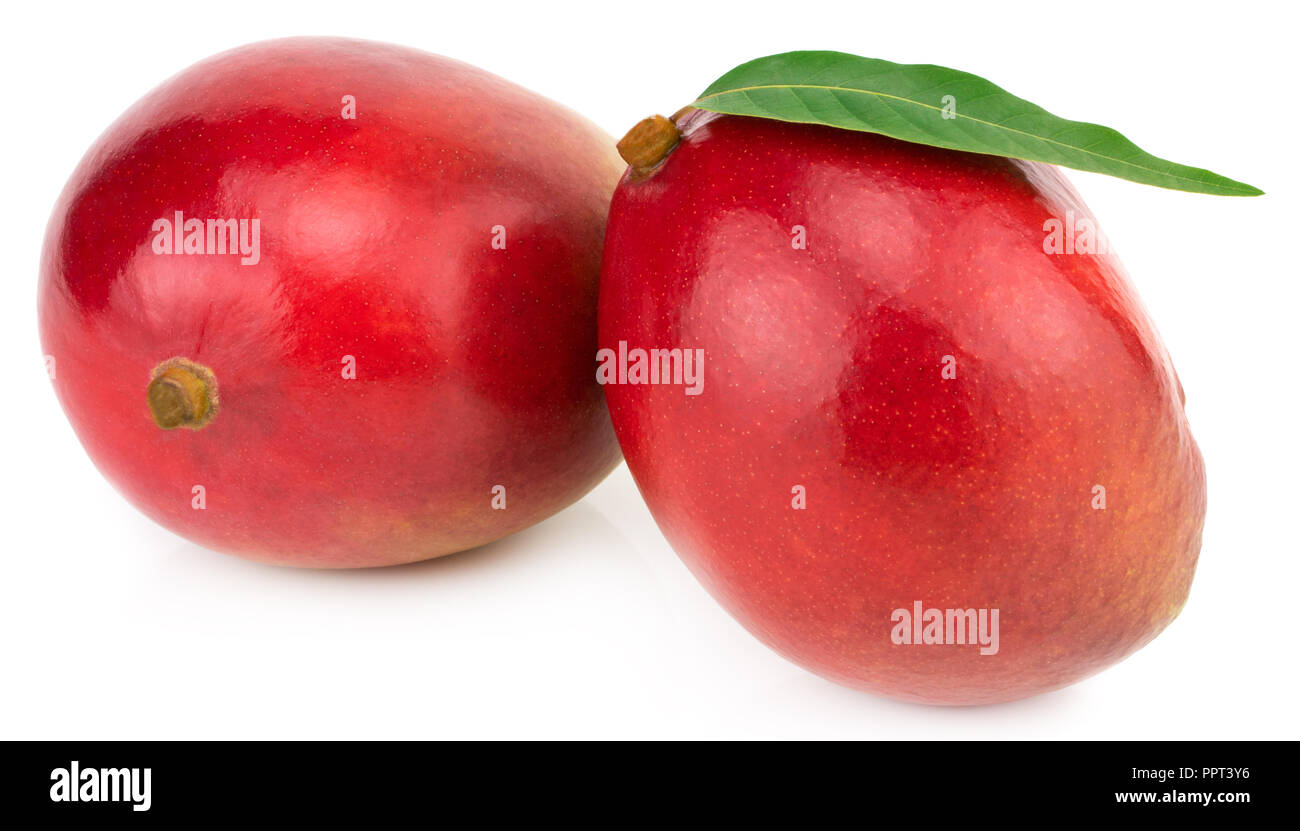 Two whole mangoes with green leaf isolated on white background Clipping ...