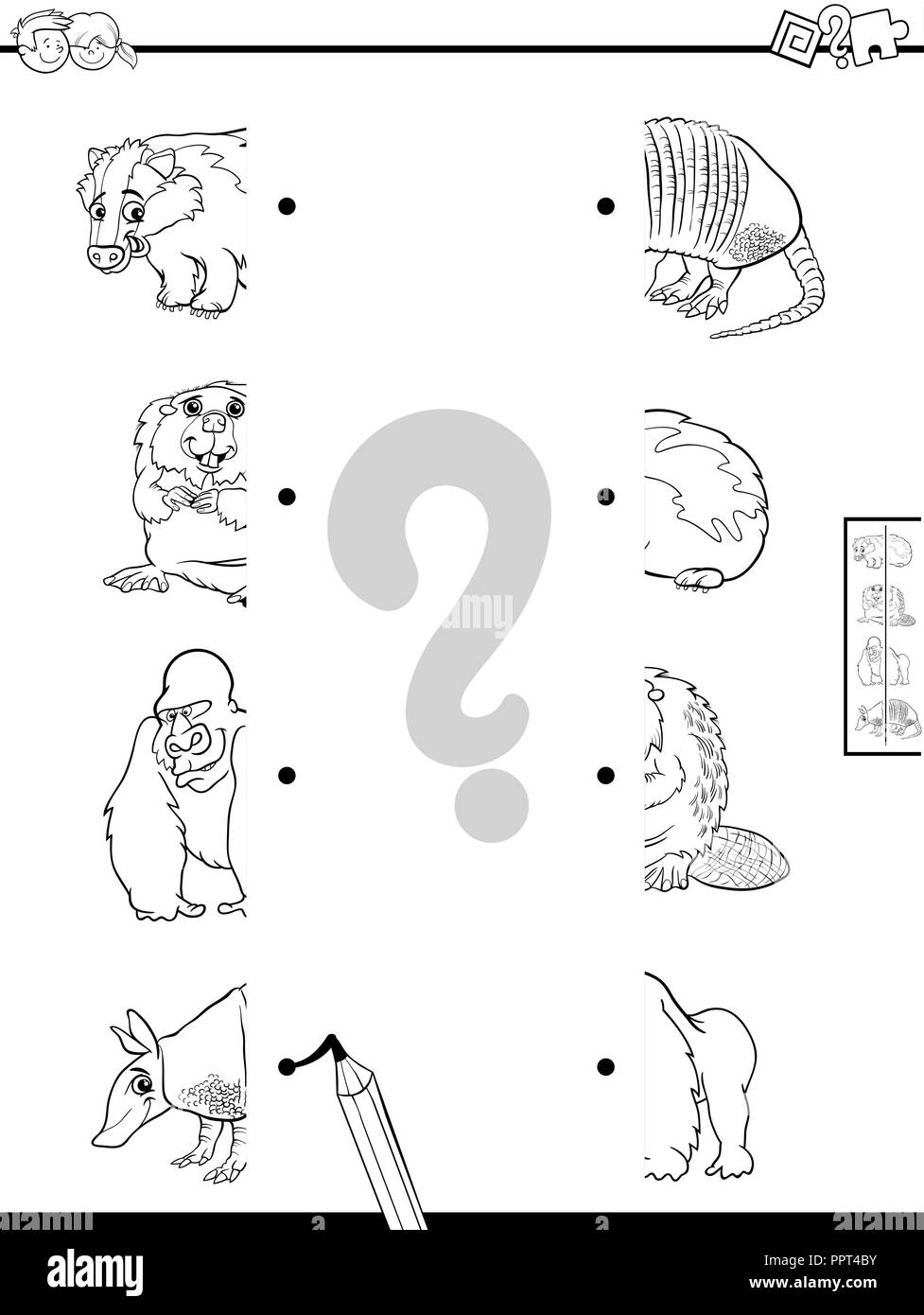 Pictures badger Stock Vector Images - Alamy