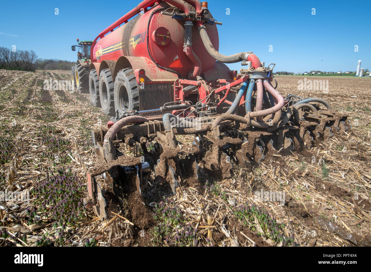 A tractor driven tanker injects duck manure into corn stubble to help ...
