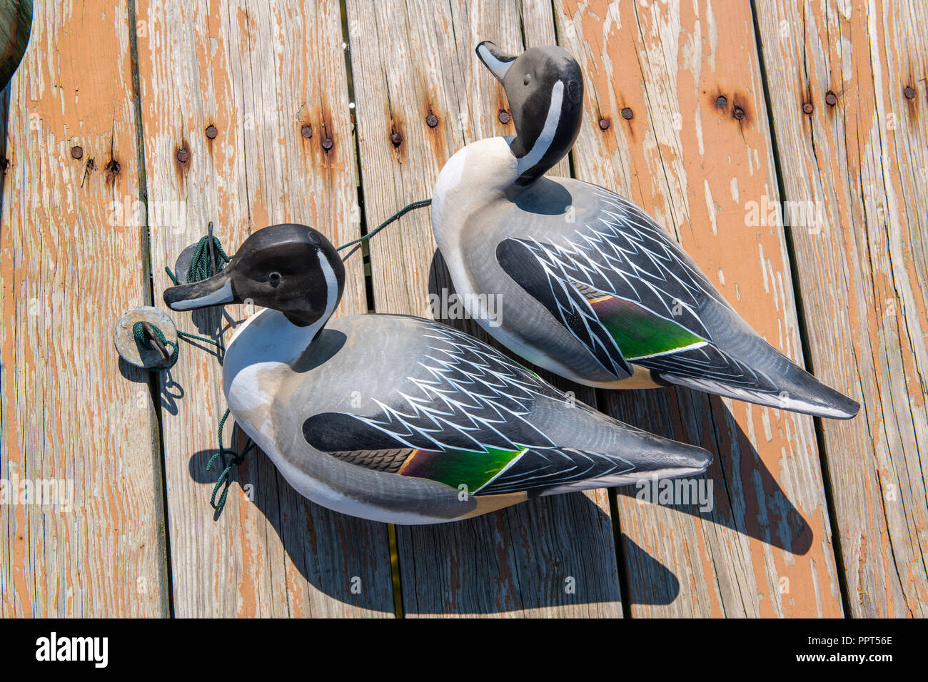Dock decoy hi-res stock photography and images - Alamy