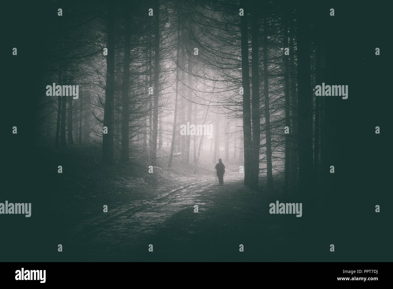 Man walking in dark woods hi-res stock photography and images - Alamy