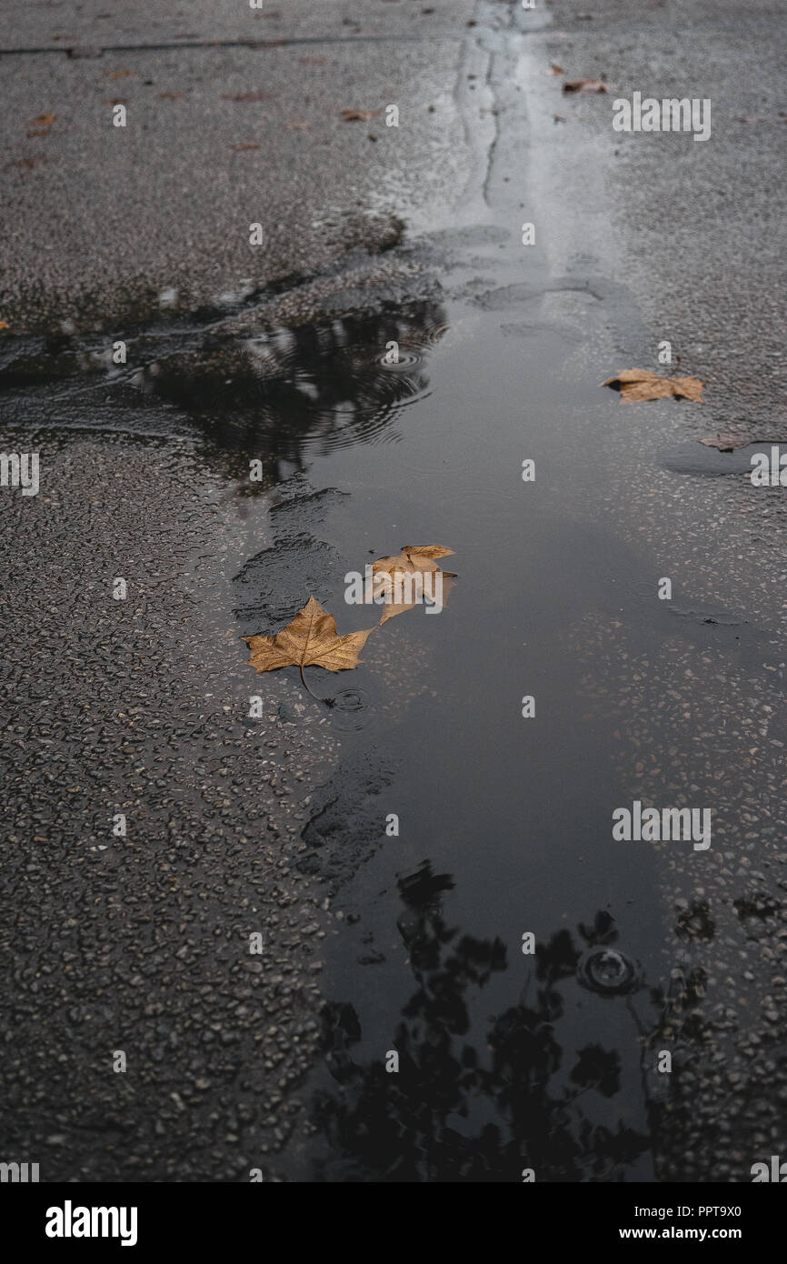 Fall photos hi-res stock photography and images - Alamy