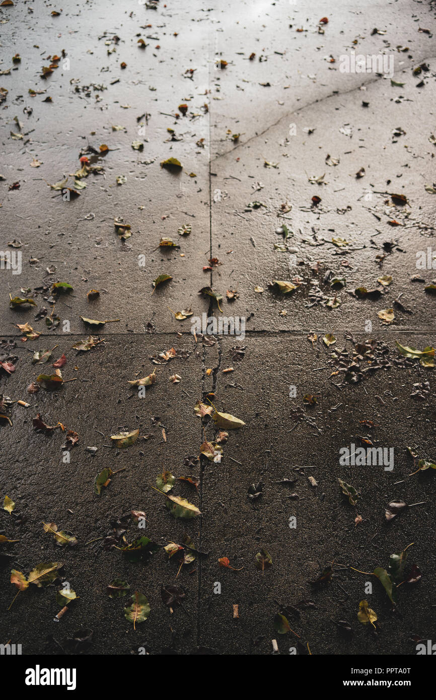 Fall photos hi-res stock photography and images - Alamy