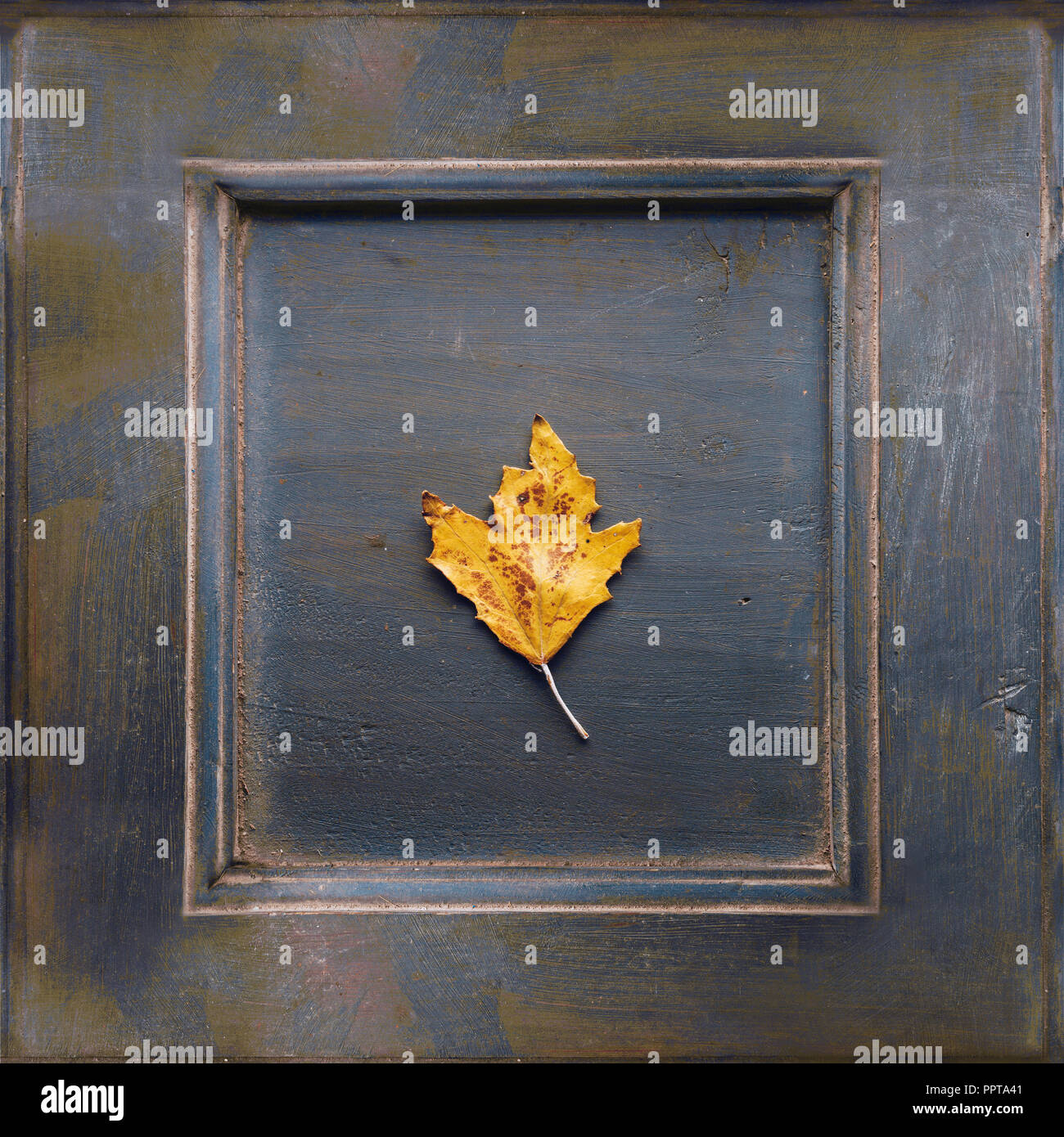 Wooden frame with an dried leaf in the center Stock Photo - Alamy