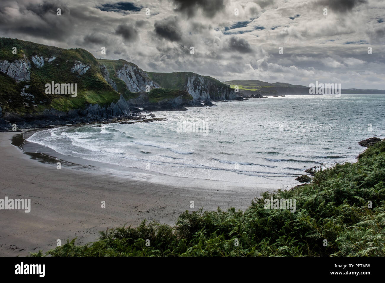 Pwllgwaelod beach at Dinas Head, near Fishguard, Pembrokeshire, Wales ...