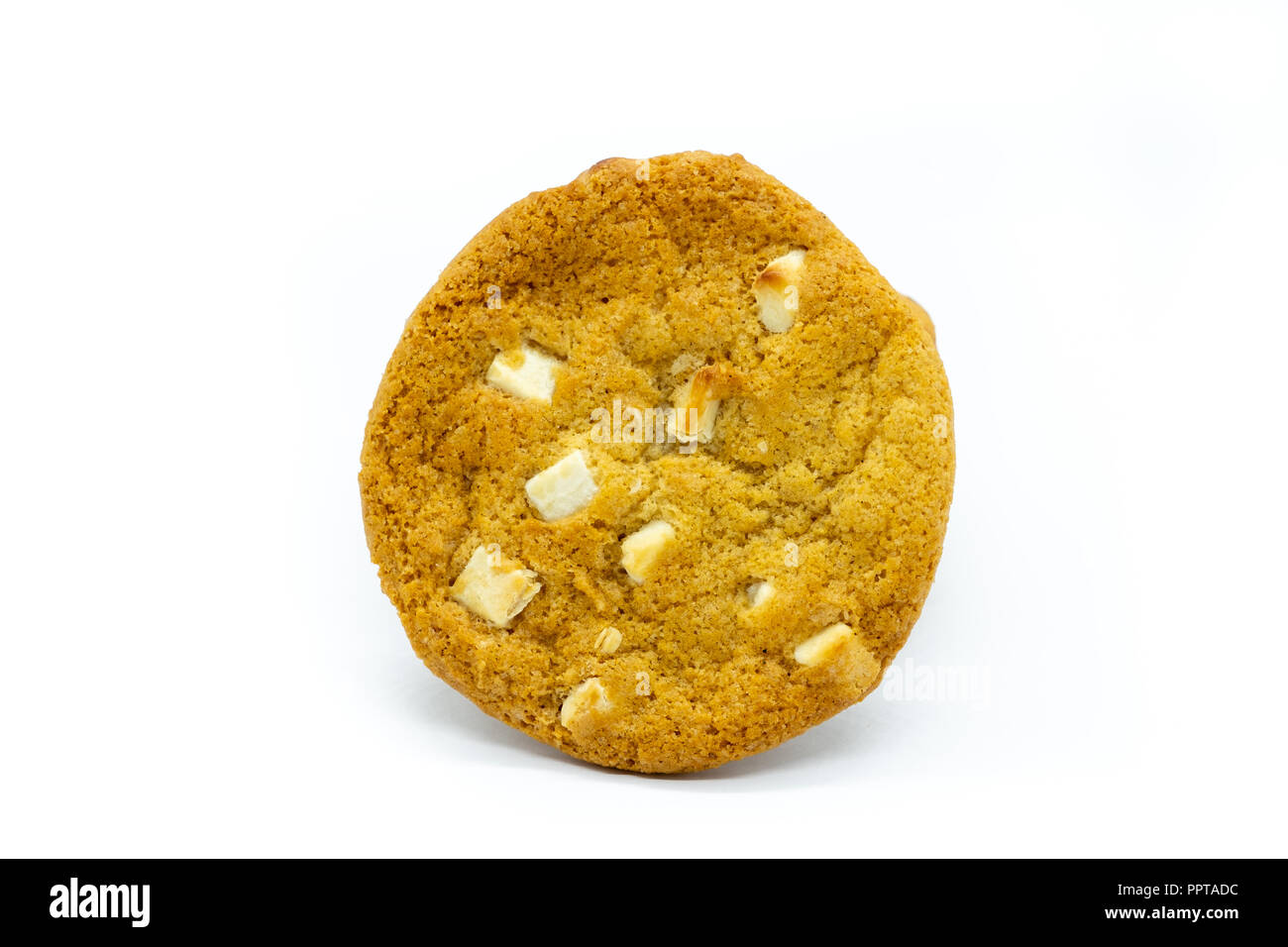 One single chocolate chip cookie standing on its side and isolated on a ...