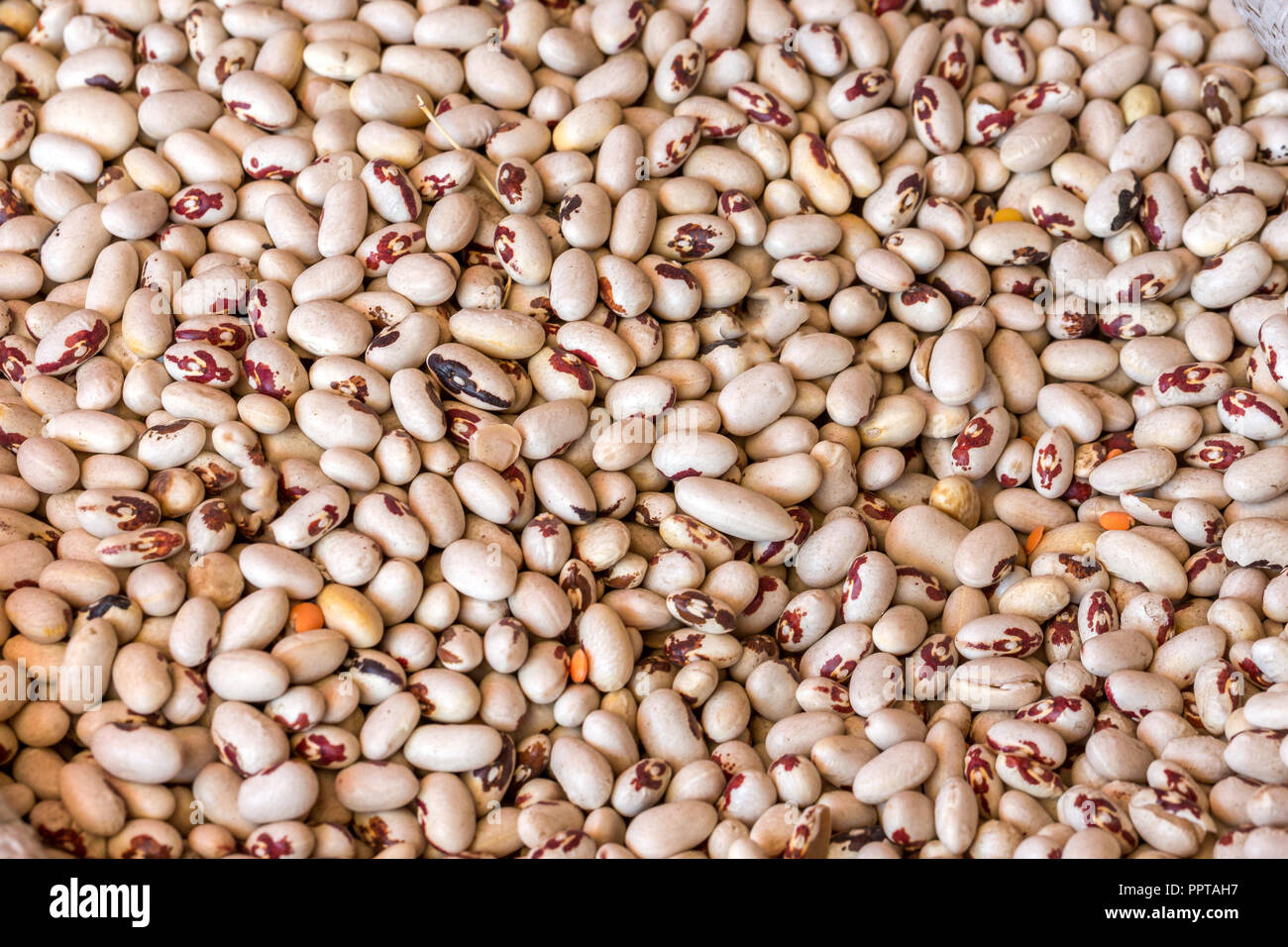 the texture of the white beans healthy food Stock Photo - Alamy