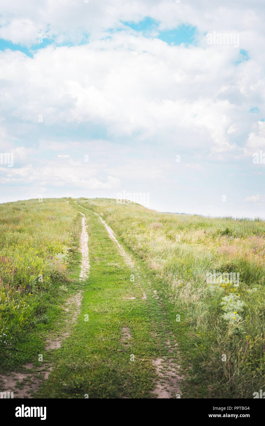meadow with path in green grass and cloudy sky Stock Photo - Alamy