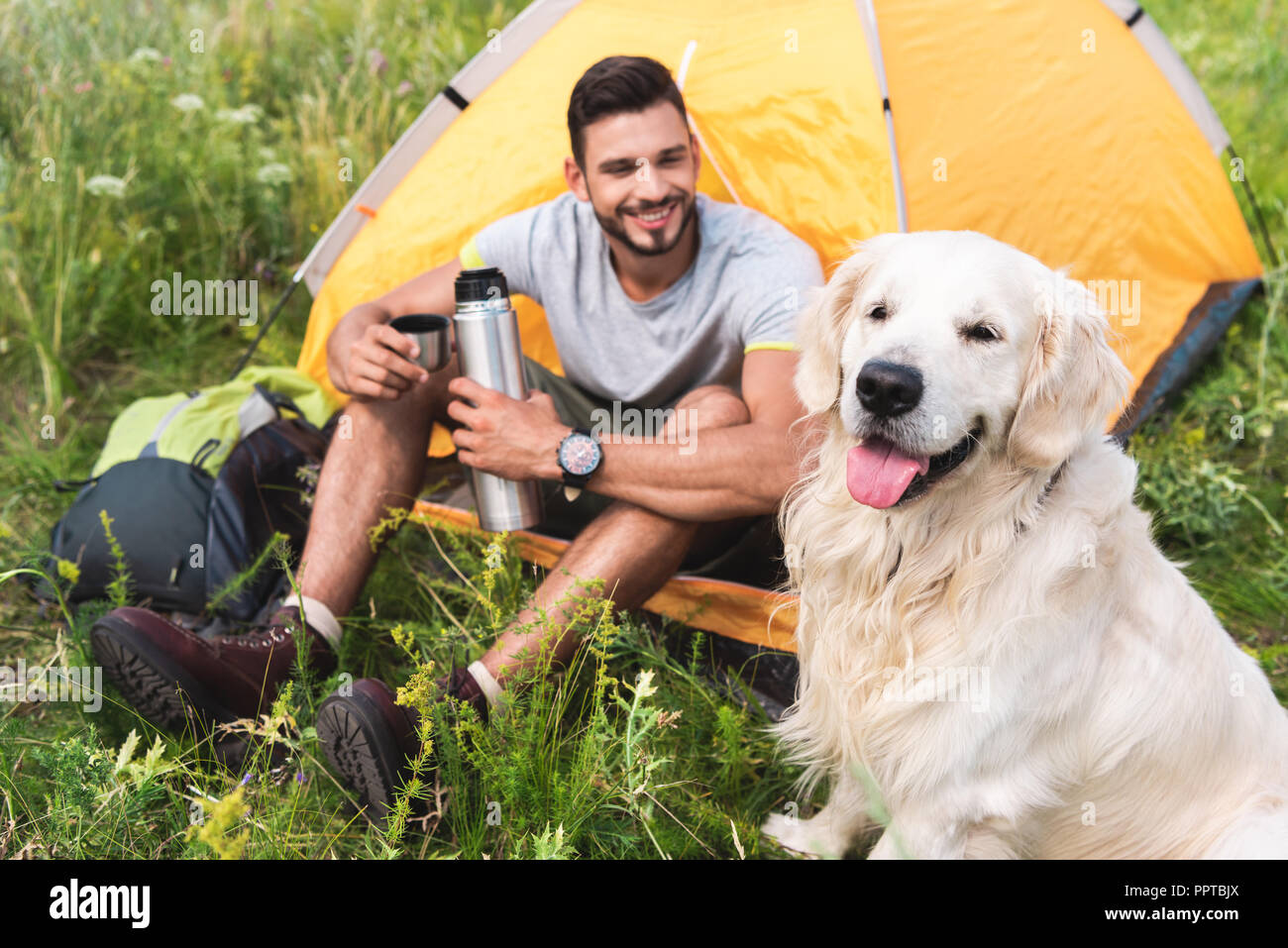tourist with thermos sitting in yellow tent with golden retriever dog ...