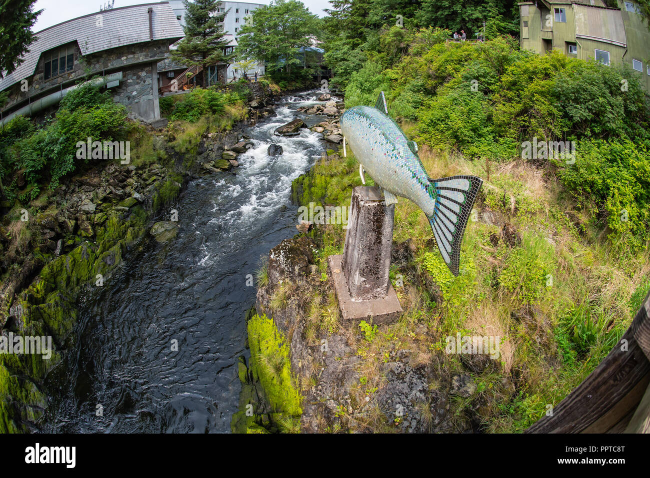 Alaska Salmon Art Statue near Ketchikan Creek, Ketchikan, Alaska, USA ...
