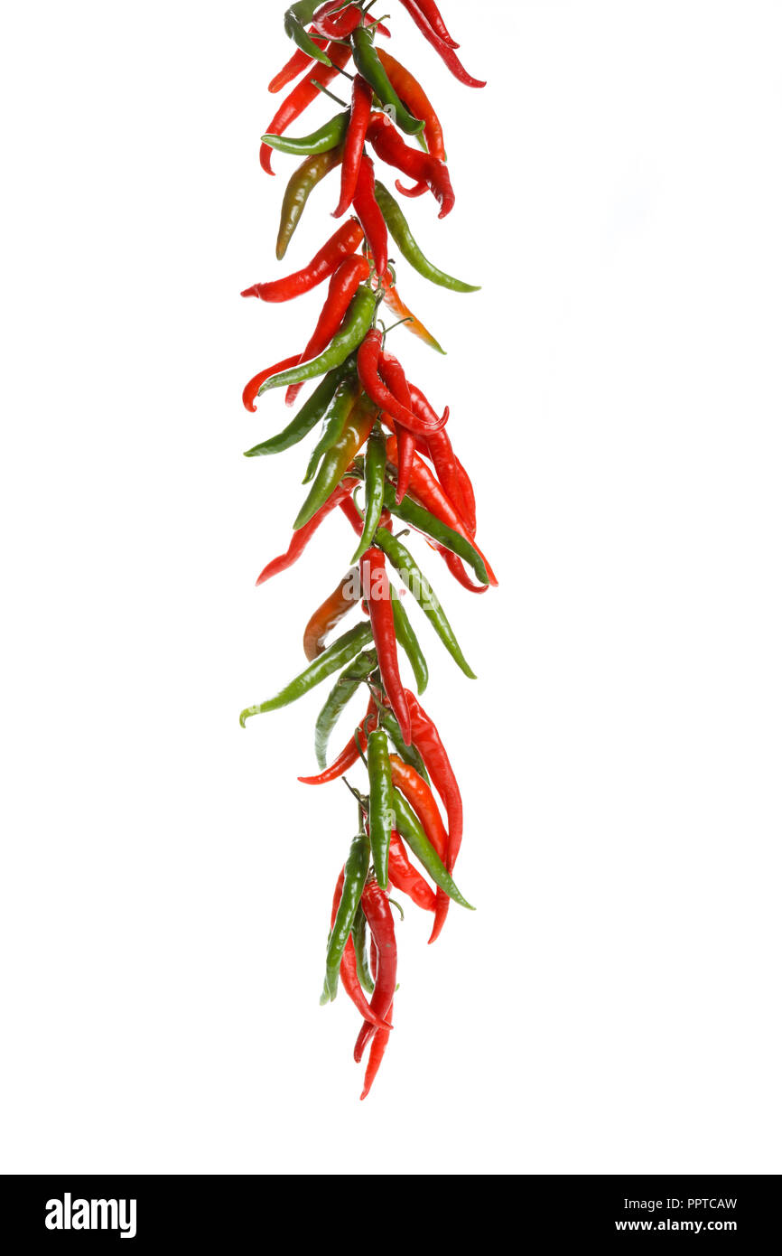 Hot red chili or chilli pepper ristra Stock Photo - Alamy