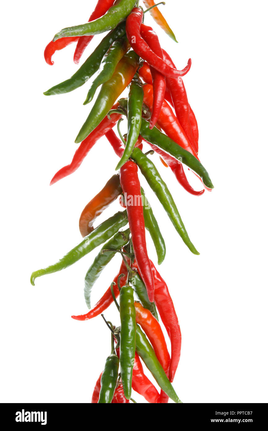 Hot red chili or chilli pepper ristra Stock Photo - Alamy