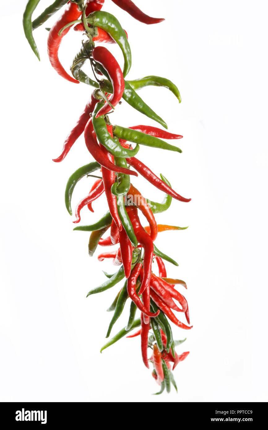 Hot red chili or chilli pepper ristra Stock Photo - Alamy