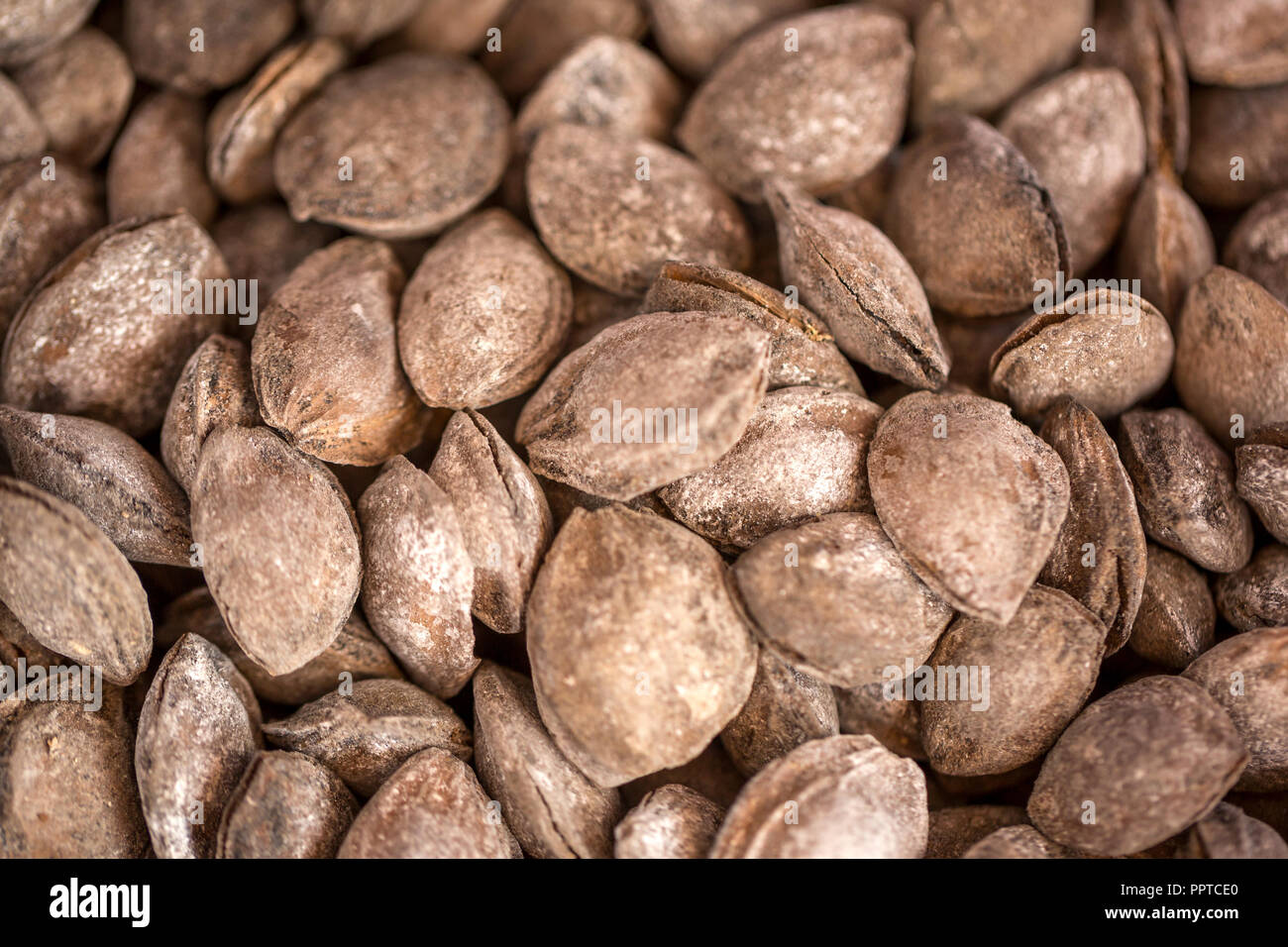 the delicacy of apricot stones in the ashes Stock Photo - Alamy