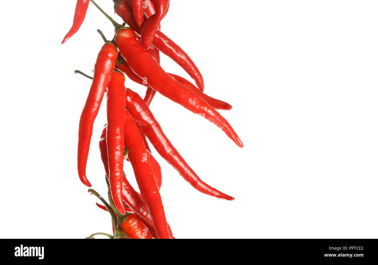 Hot red chili or chilli pepper ristra Stock Photo - Alamy