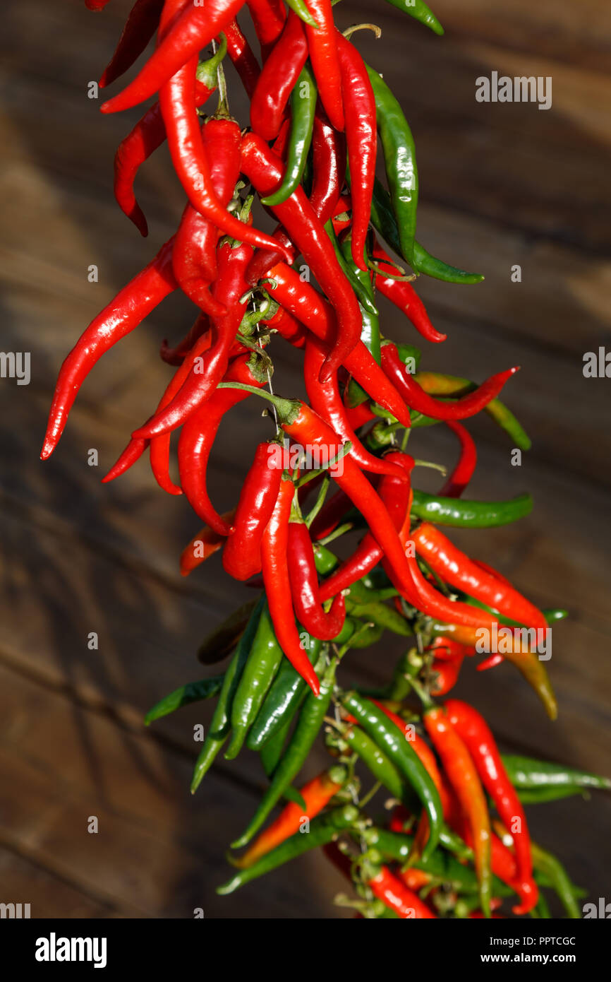 Ristra hang hi-res stock photography and images - Alamy