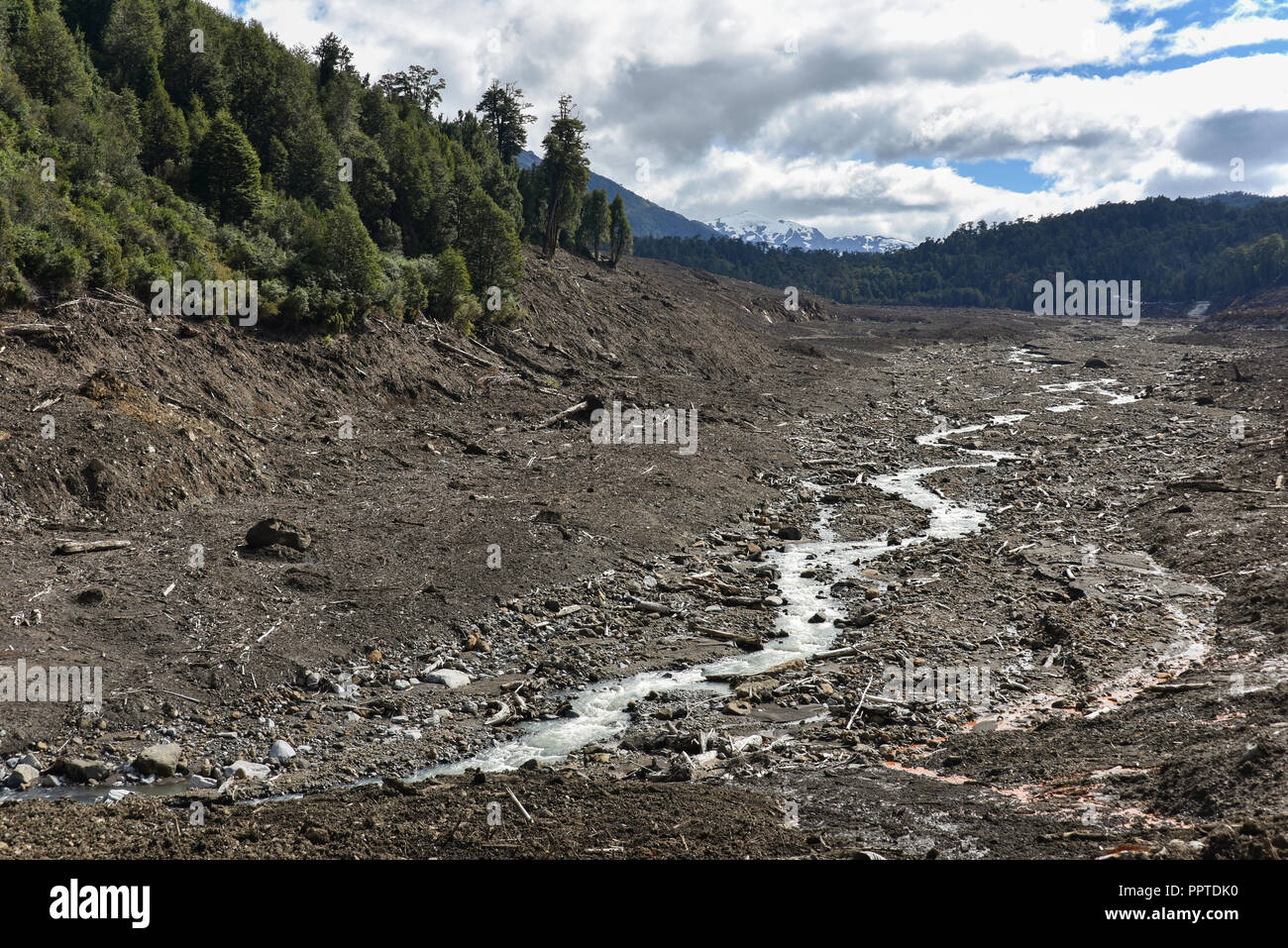 Landslide forest hi-res stock photography and images - Alamy