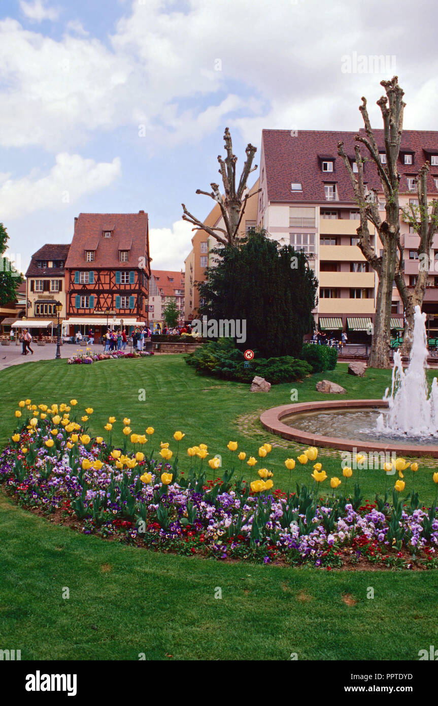 France tulips hi-res stock photography and images - Alamy