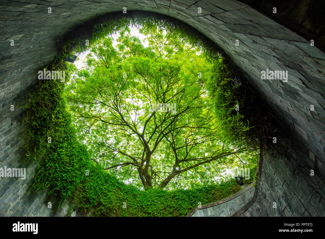 Spiral staircase at Fort Canning Park, Singapore Stock Photo - Alamy