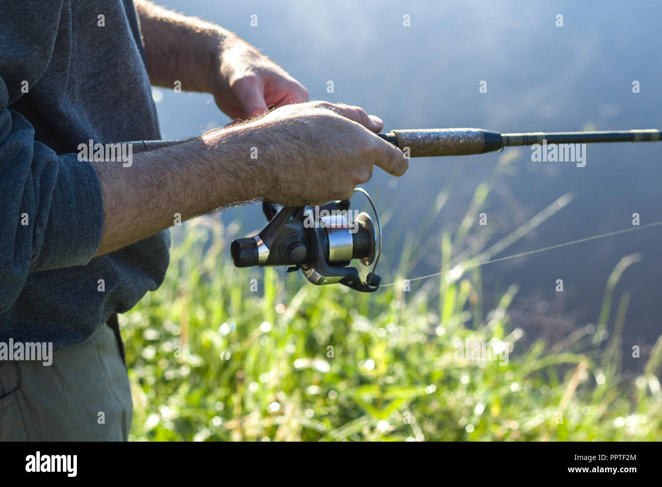 Angler catches fish for spinning. Pulls the fishing line with a ...