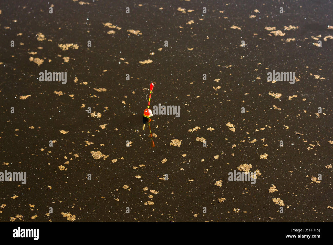 The float floats in the water Stock Photo - Alamy
