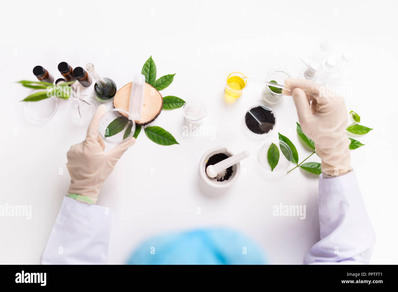 the scientist,dermatologist testing the organic natural cosmetic ...