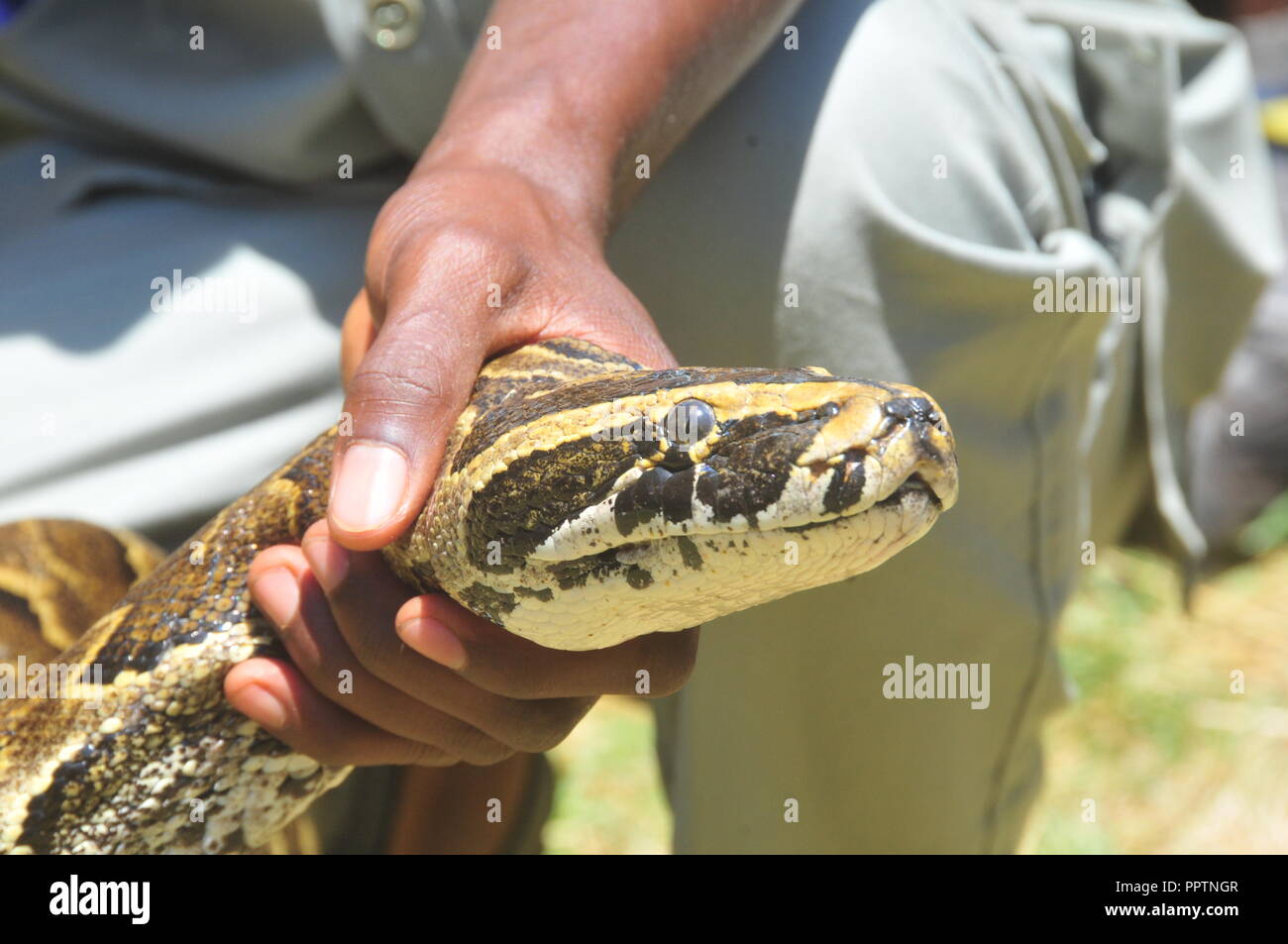 Rugby grounds hi-res stock photography and images - Alamy