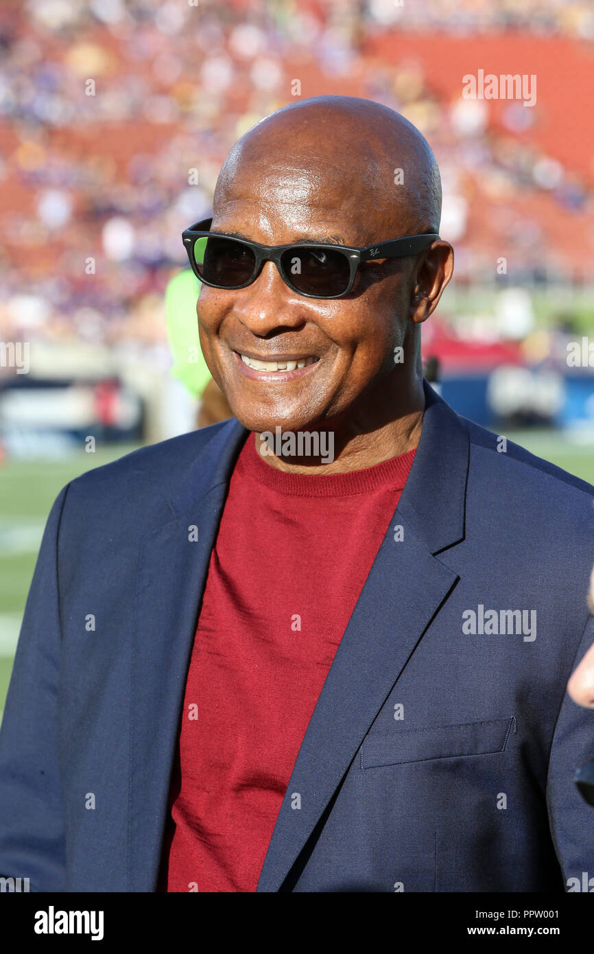 Lynn swann hi-res stock photography and images - Alamy