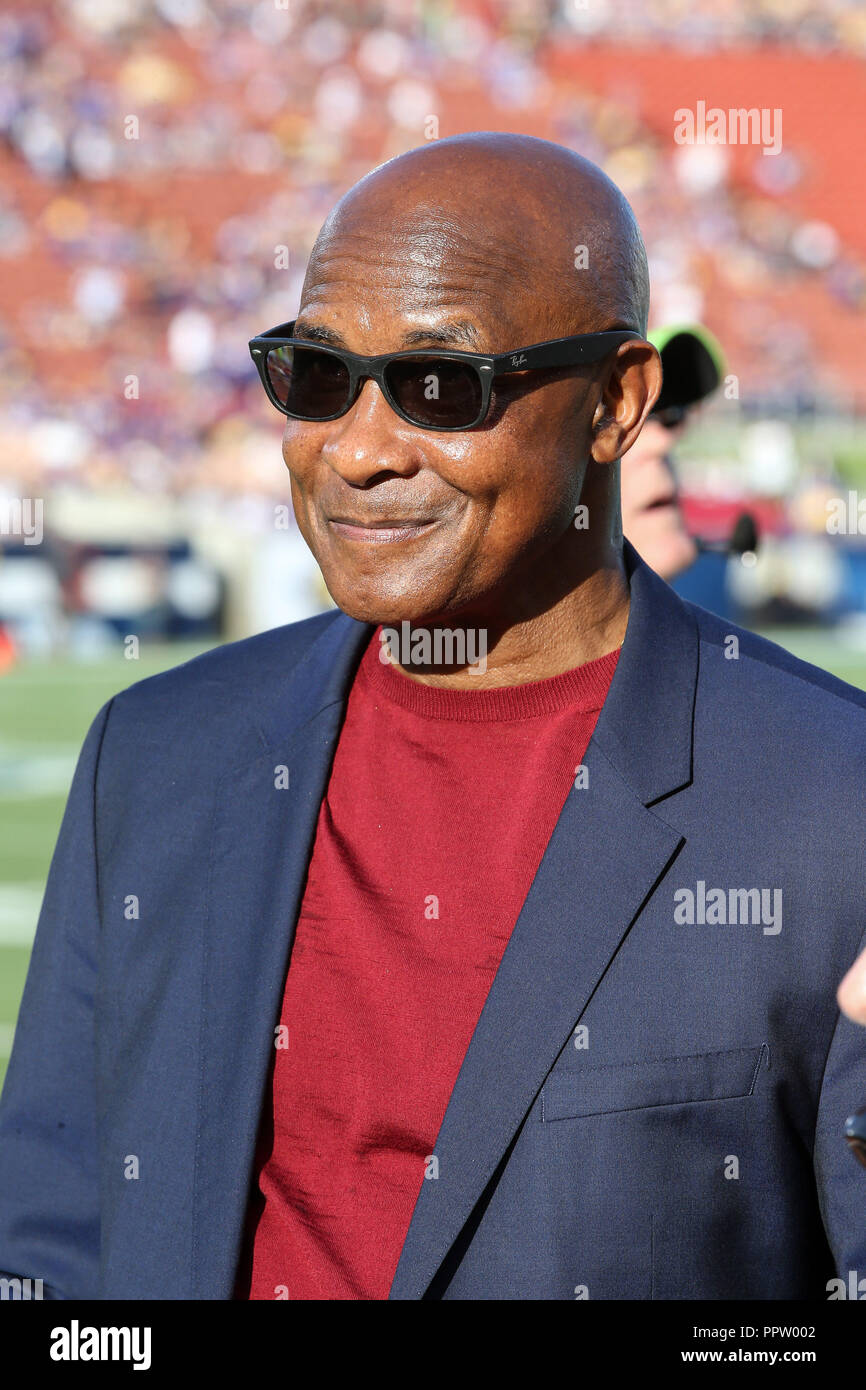 Lynn swann hi-res stock photography and images - Alamy