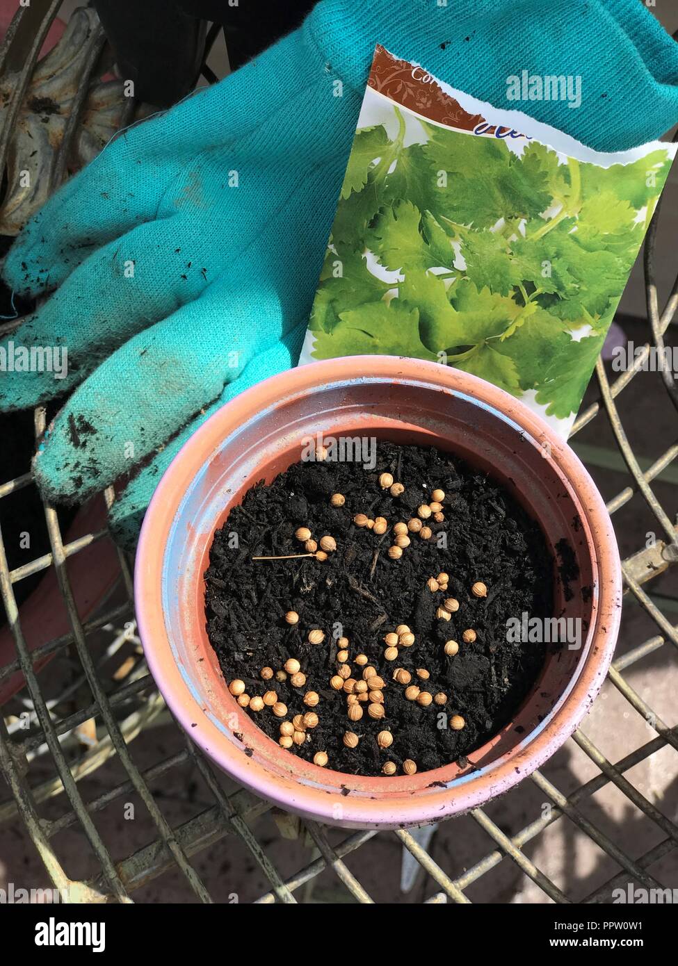spring planting images fresh dirt and seedlings Stock Photo - Alamy