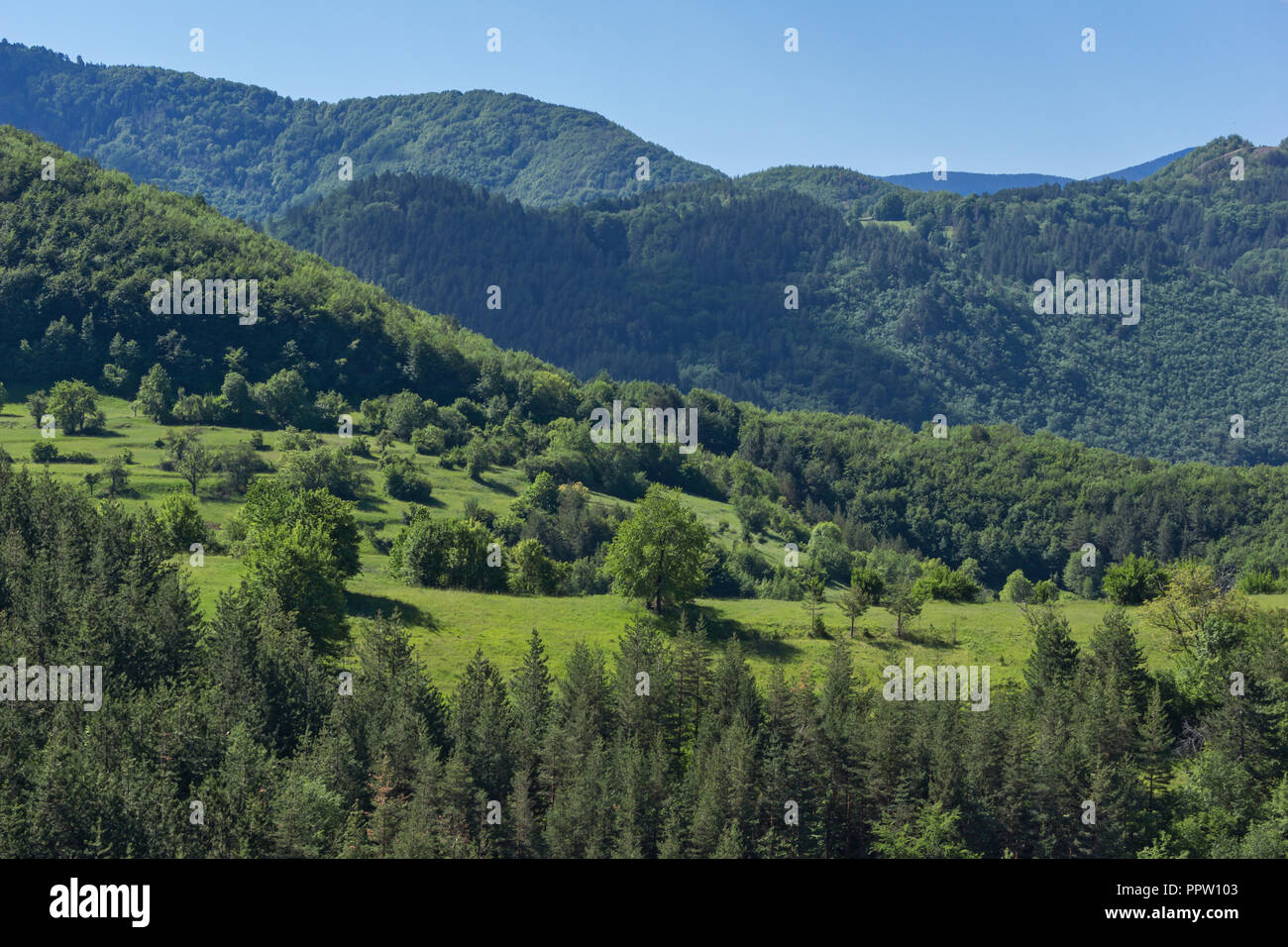 Amazing landscape of Green Hills near Village of Borovo in Rhodope ...