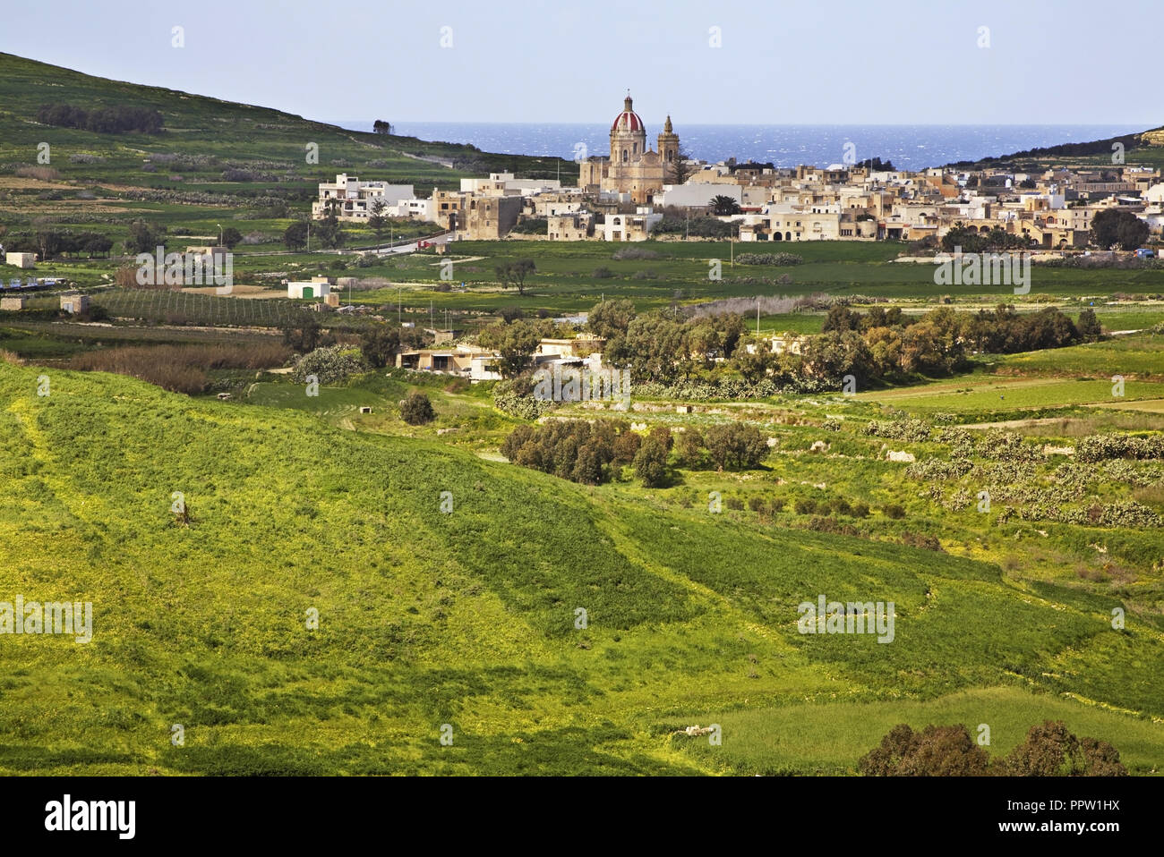 Ghasri High Resolution Stock Photography and Images - Alamy