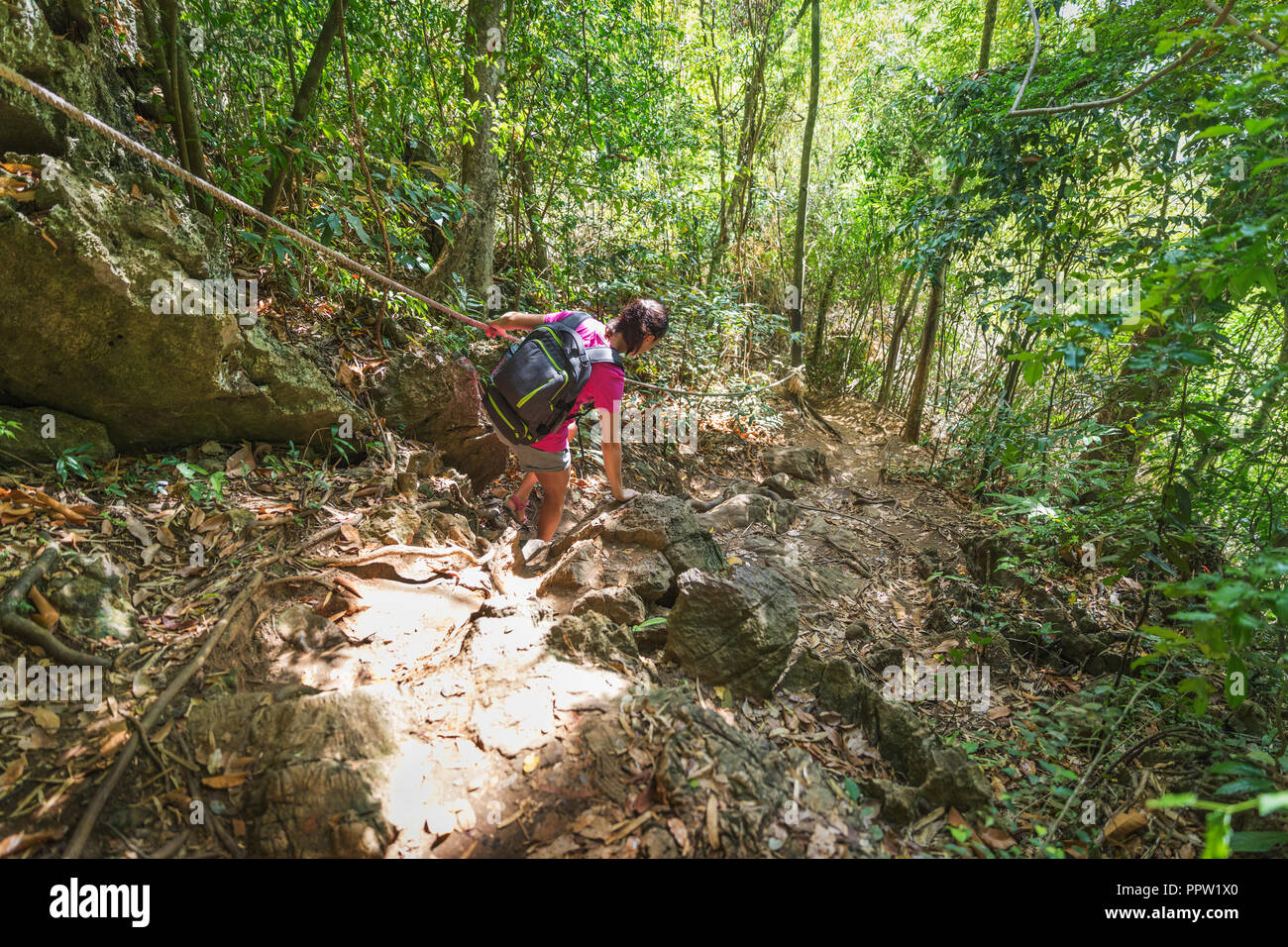 Woman walking tropical forest waterfall hi-res stock photography and ...