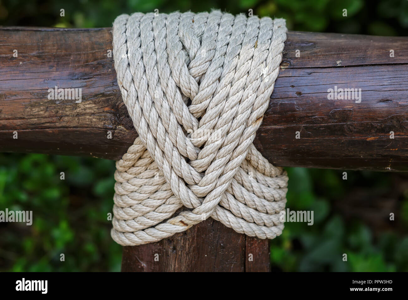 Rope tied on the tree Stock Photo - Alamy