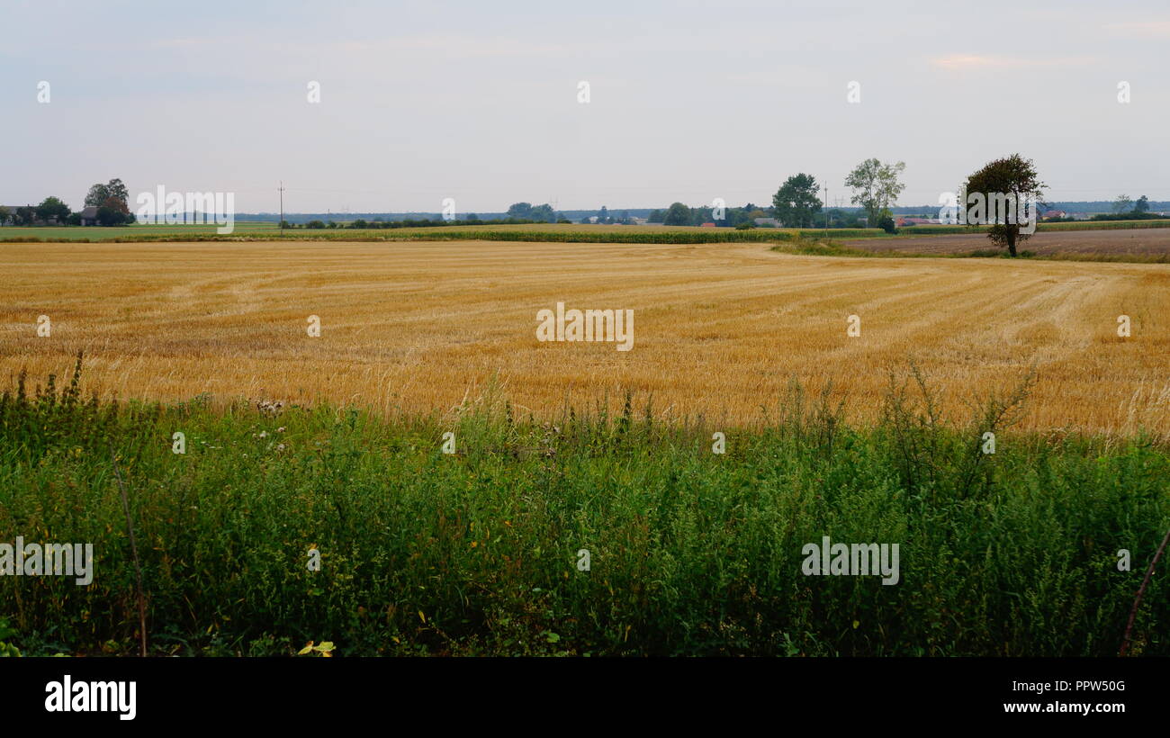 Agriculture In Poland High Resolution Stock Photography and Images - Alamy