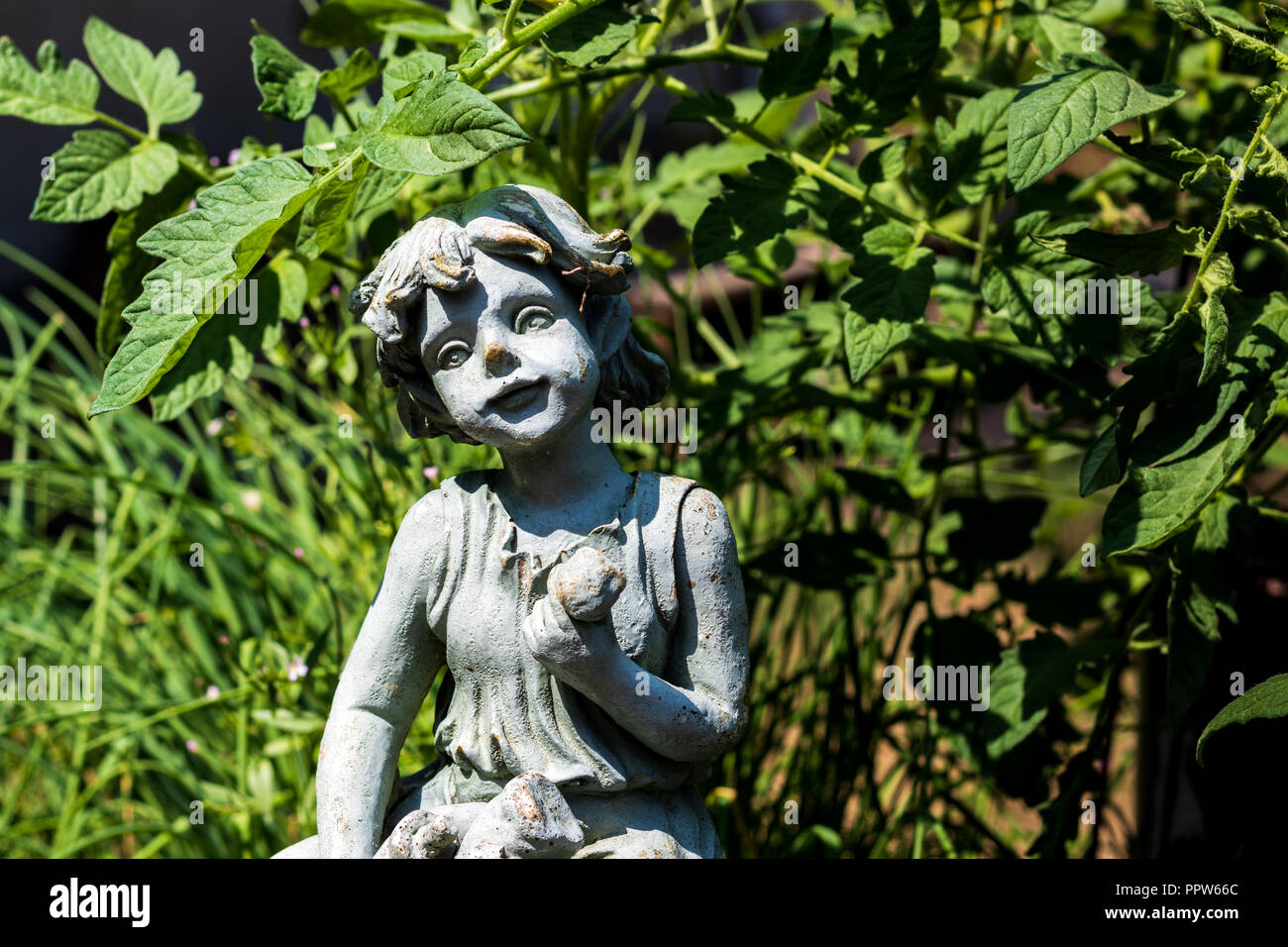 Stone garden statue placed in a tomato patch in direct sunlight Stock ...