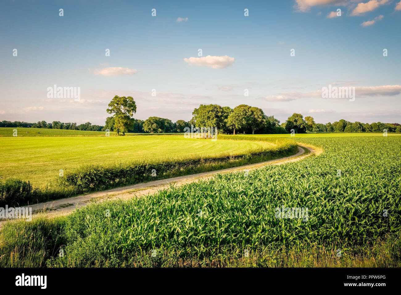 Lonely path hi-res stock photography and images - Alamy