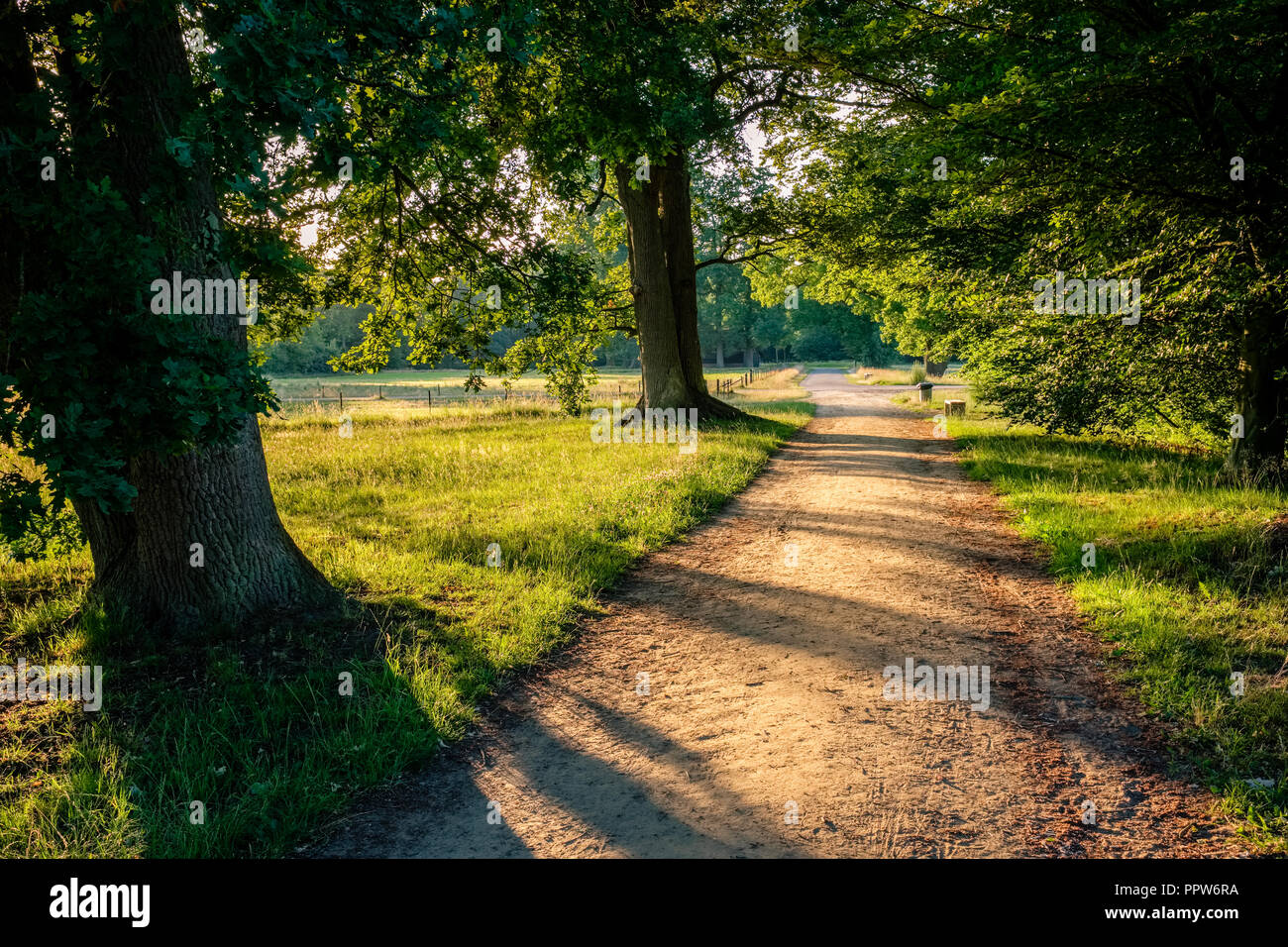 Lonely path hi-res stock photography and images - Alamy