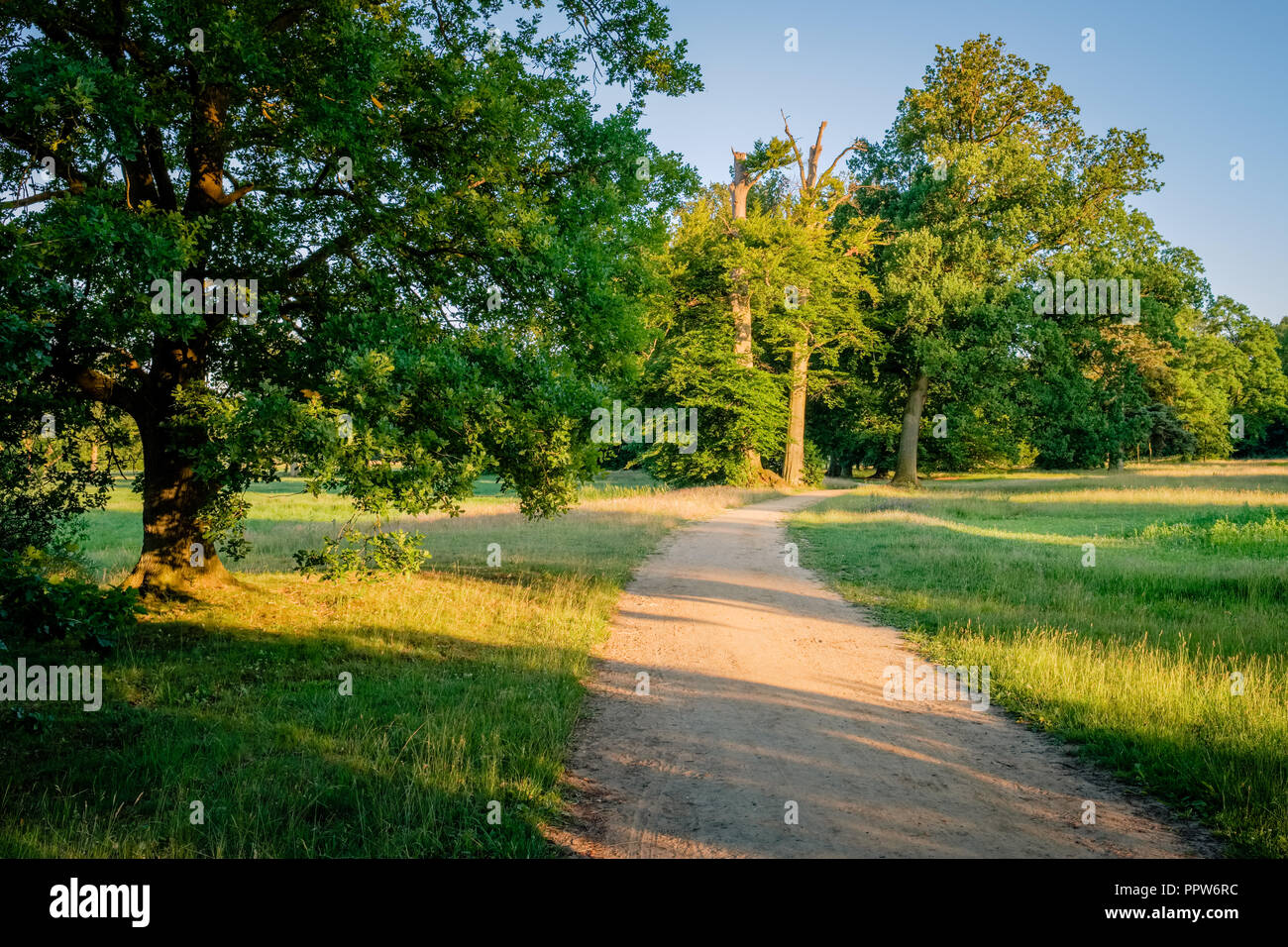 Sunset at a lonely path in a typical Dutch farm landscape in the summer ...