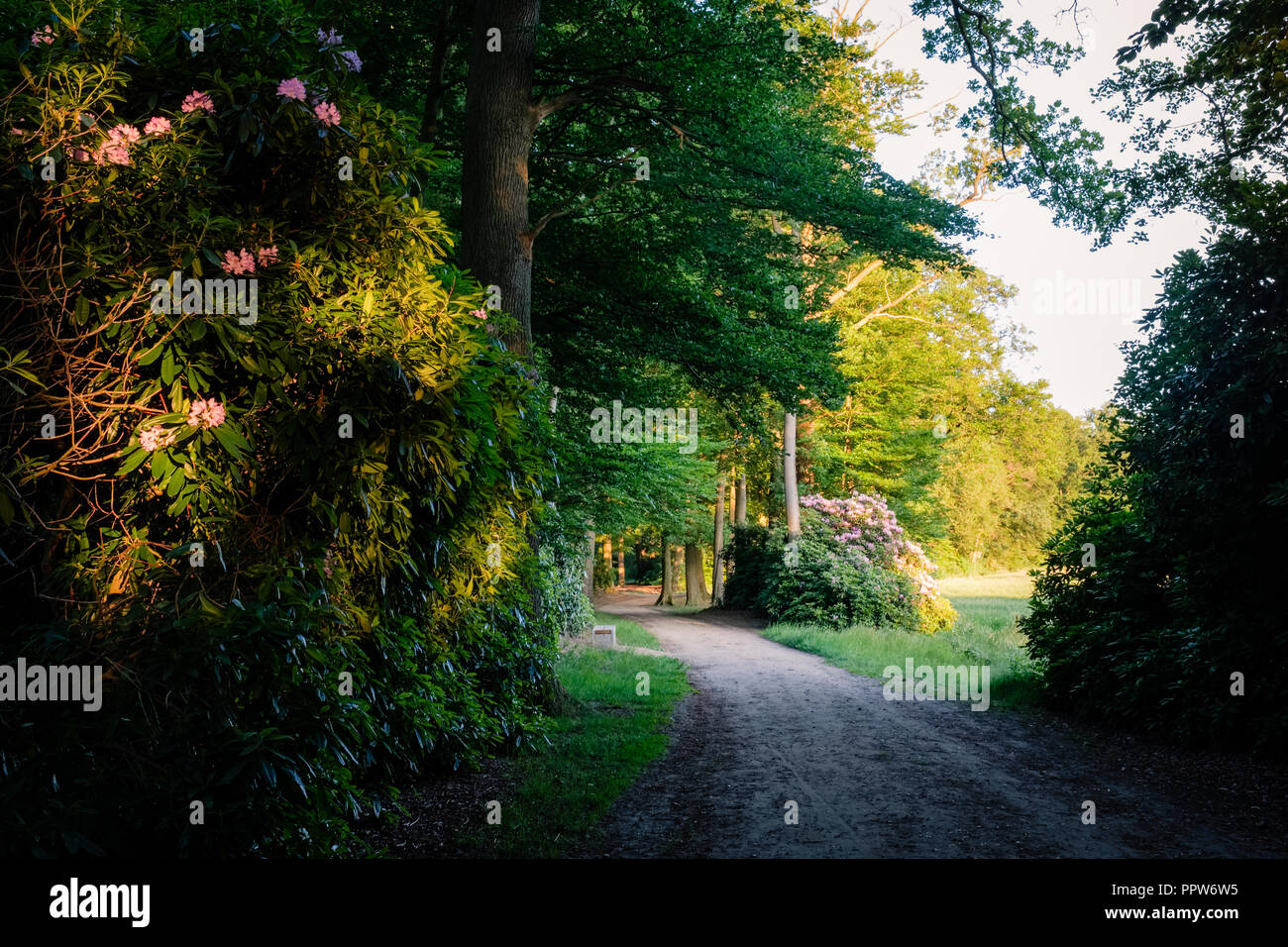 Typical path hi-res stock photography and images - Alamy