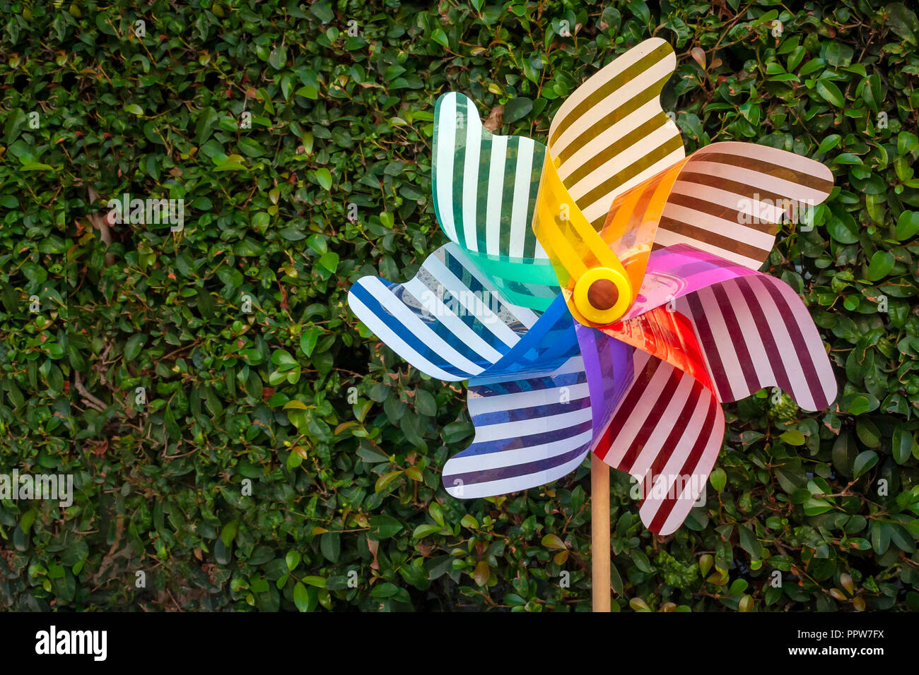 Colorful pinwheel with green background Stock Photo - Alamy
